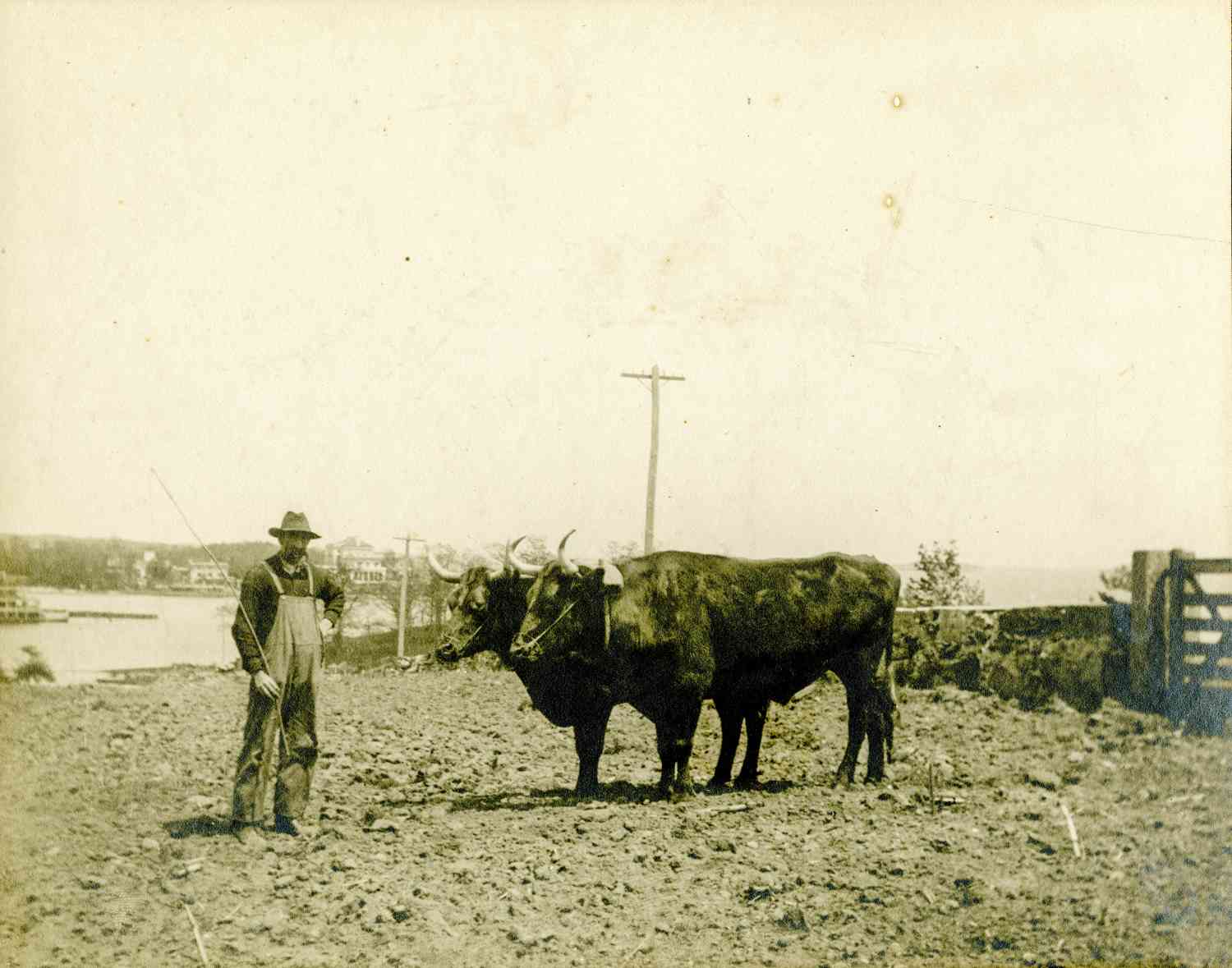 #AskAnArchivist at Greenwich Historical Society | Greenwich Historical ...